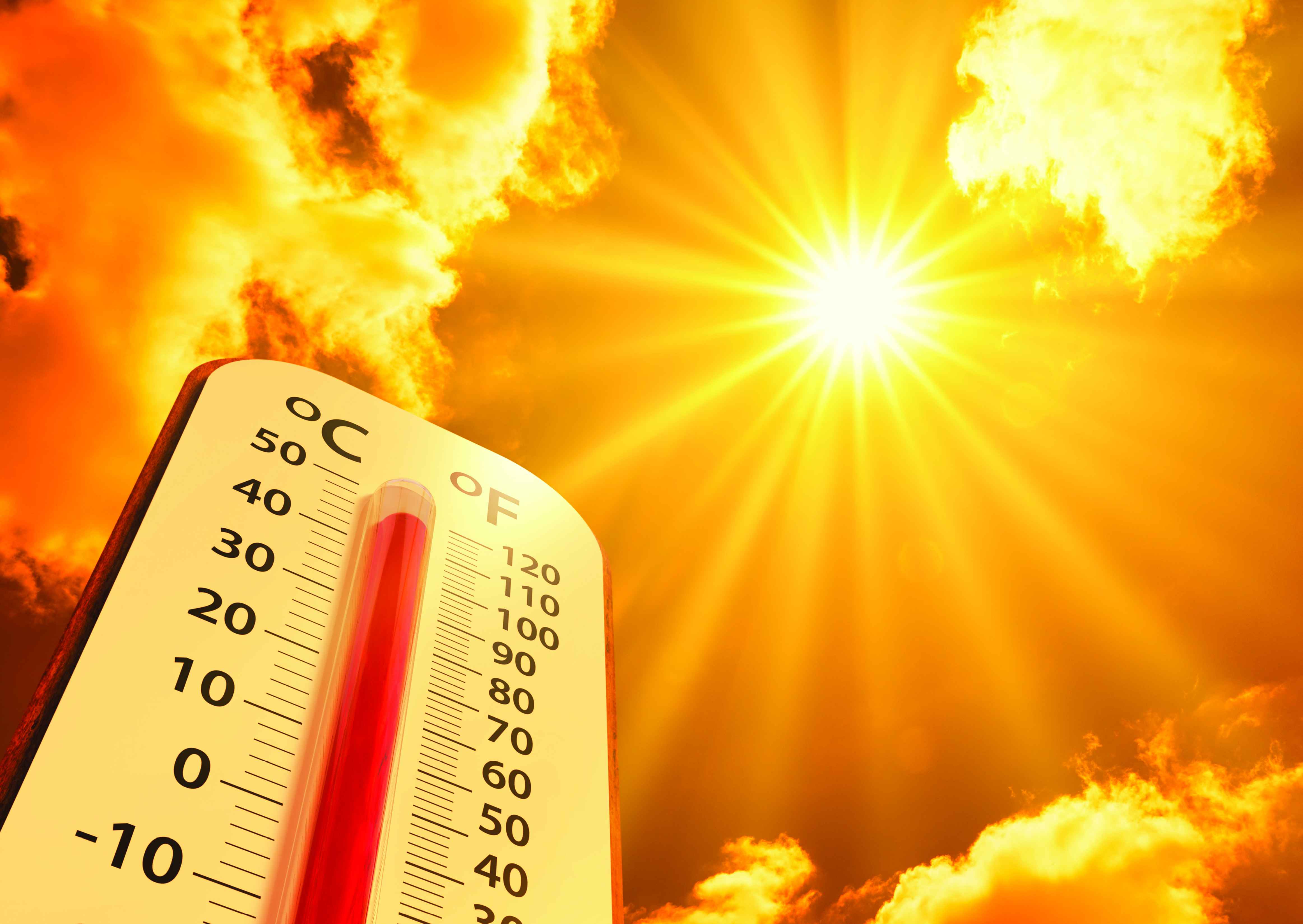 How to Gear Up for Wild Weather | Contractors Hot Line