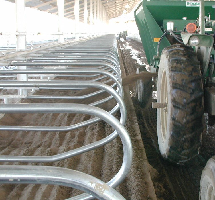 Unlocking the Secrets to Effective Sand Bedding | Farmers Hot Line