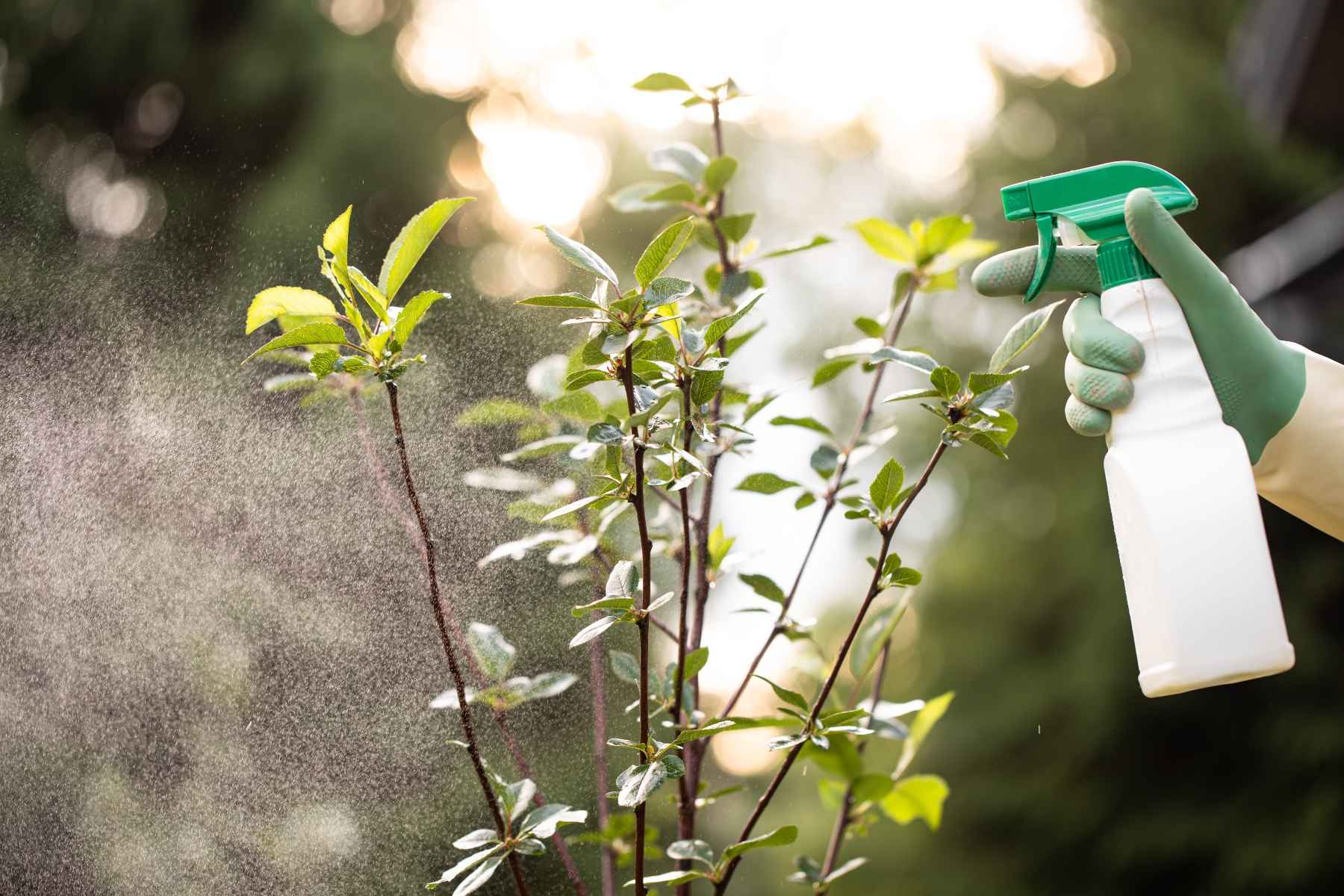 Natural Pest Defense Methods for Your Farm | Farmers Hot Line